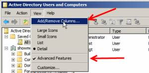 How to Add Additional Columns in Active Directory